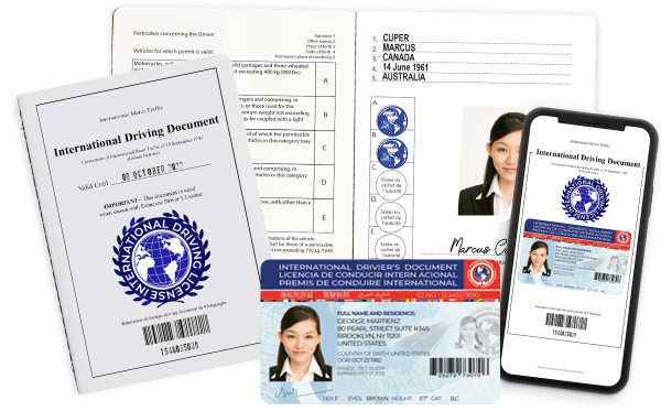 What is an International Driving License? Full Guide